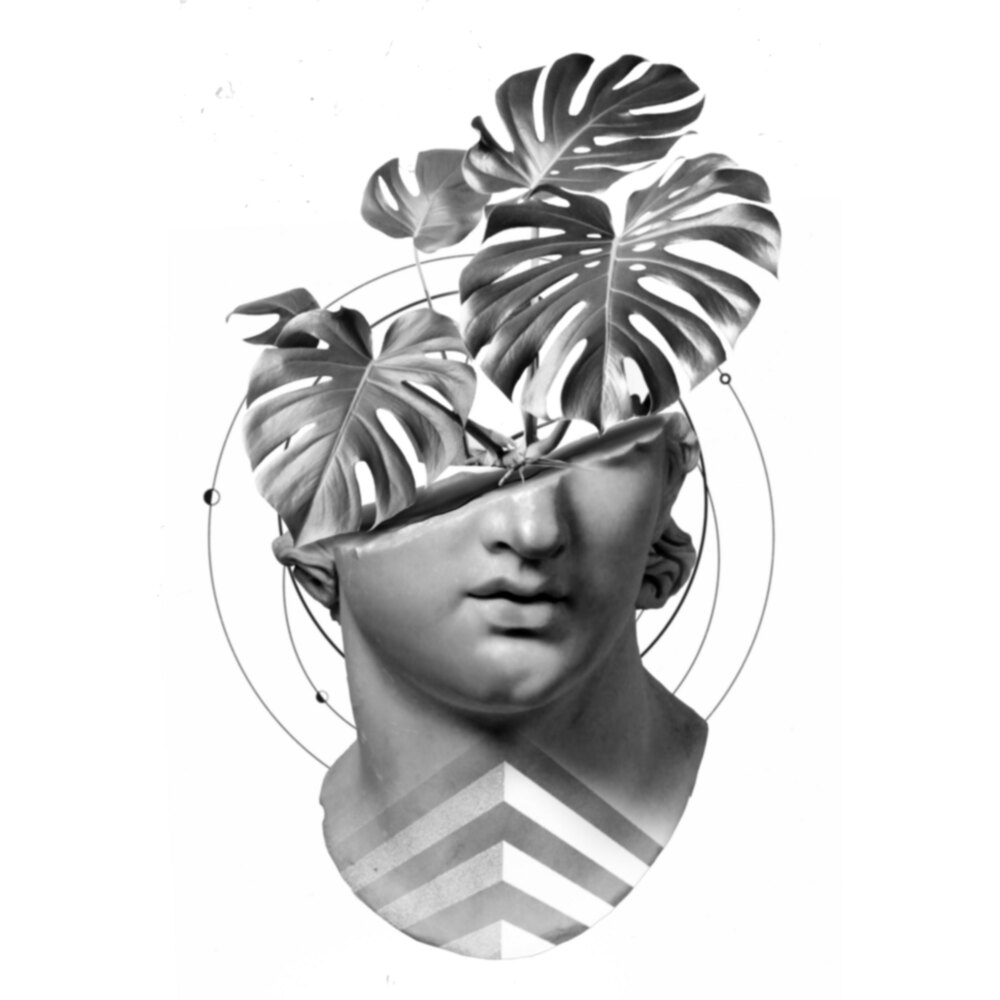 Click/Tap an image below to make your selection